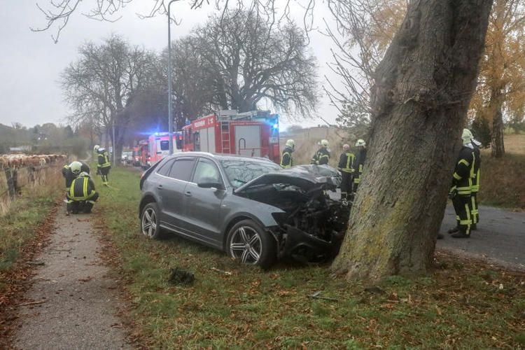 Betrunkener Autofahrer knallt gegen Baum