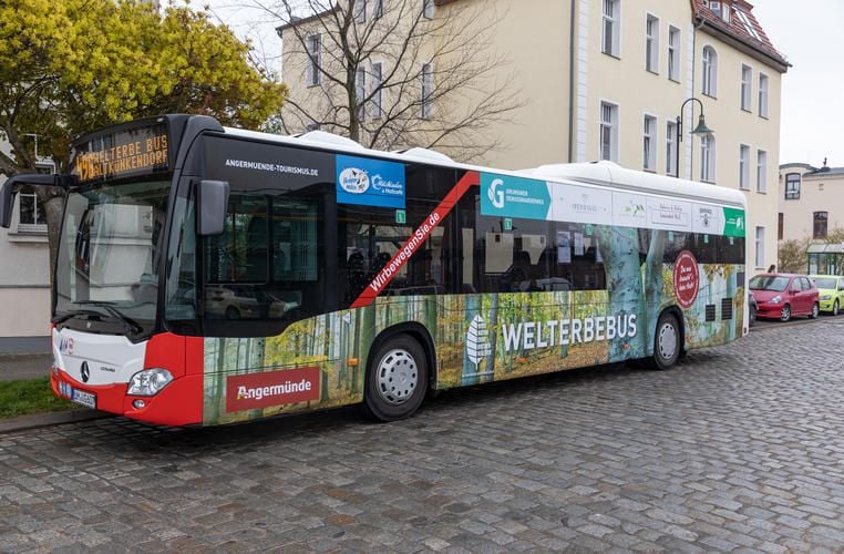 „Grumsiner Forst“ nun besser mit dem Bus erreichbar