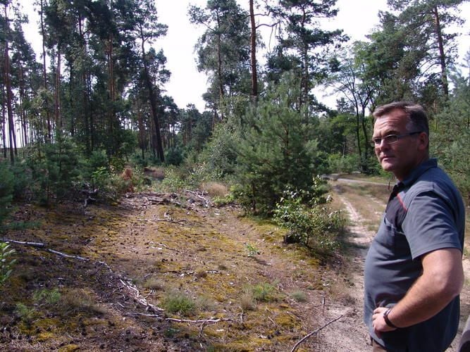 Zu viel oder zu wenig Rotwild?