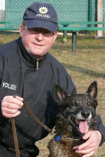 Sein Partner mit der kalten Schnauze Sein Partner mit der kalten Schnauze