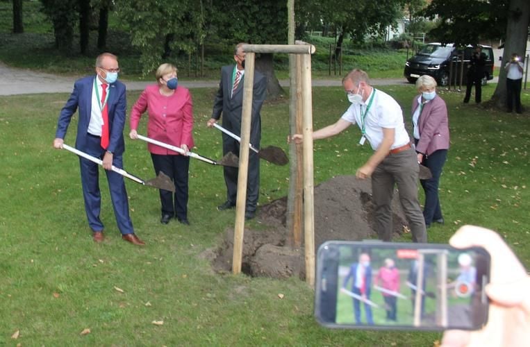 Angela Merkel pflanzt Linde in ihrer Heimatstadt Templin
