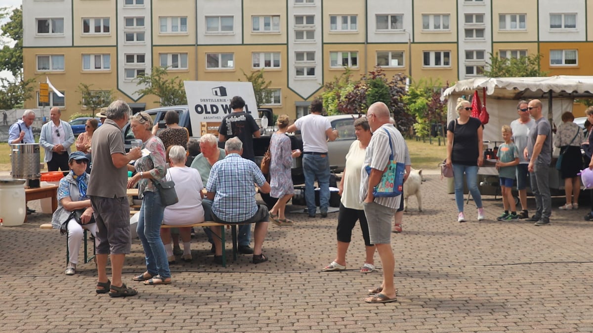 Regionalmarkt in Demmin erlebt zweite Auflage
