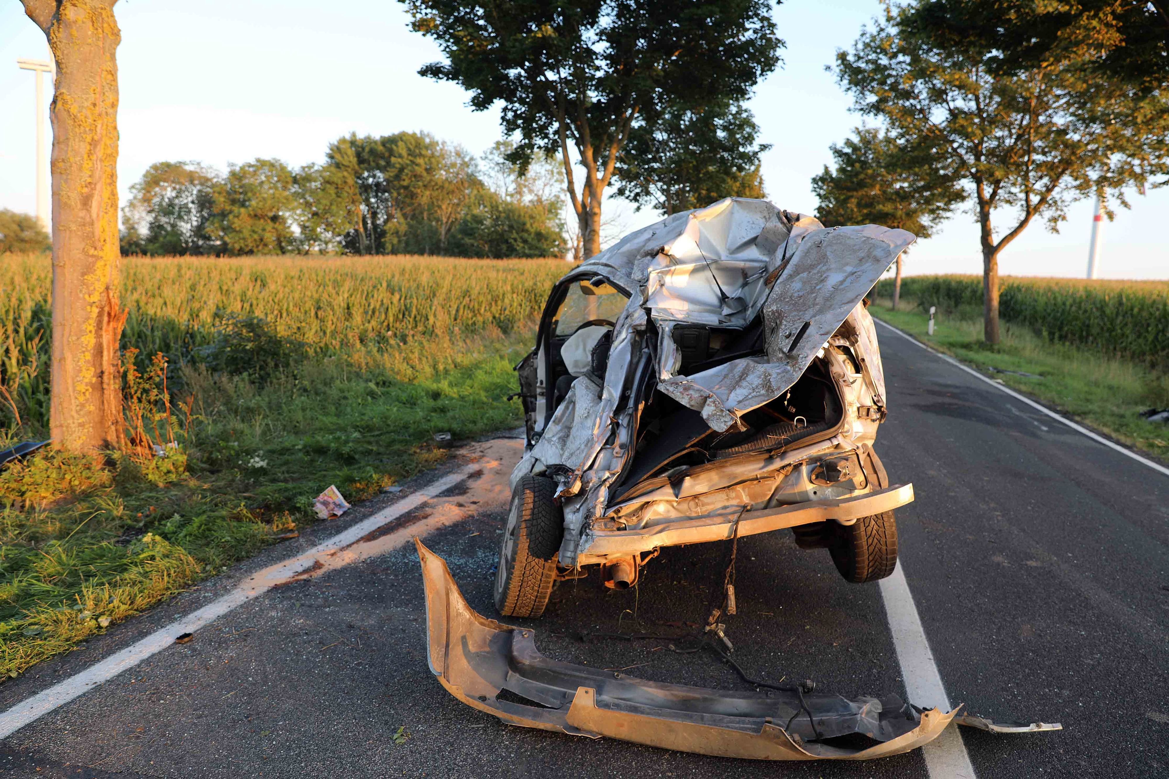 Junger Autofahrer kracht gegen Baum und stirbt