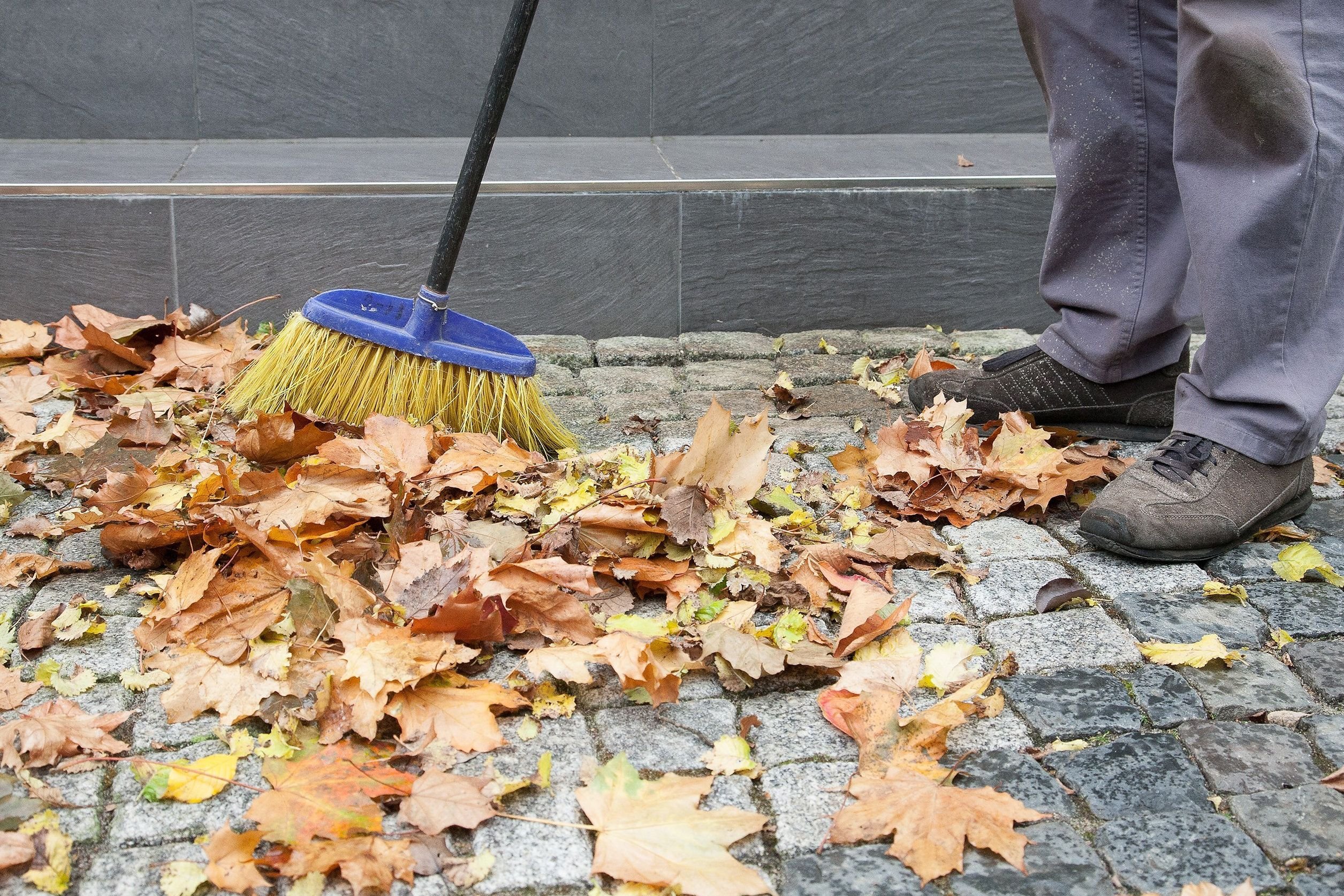 Müssen Besitzer vor ihrem Grundstück Laub fegen?