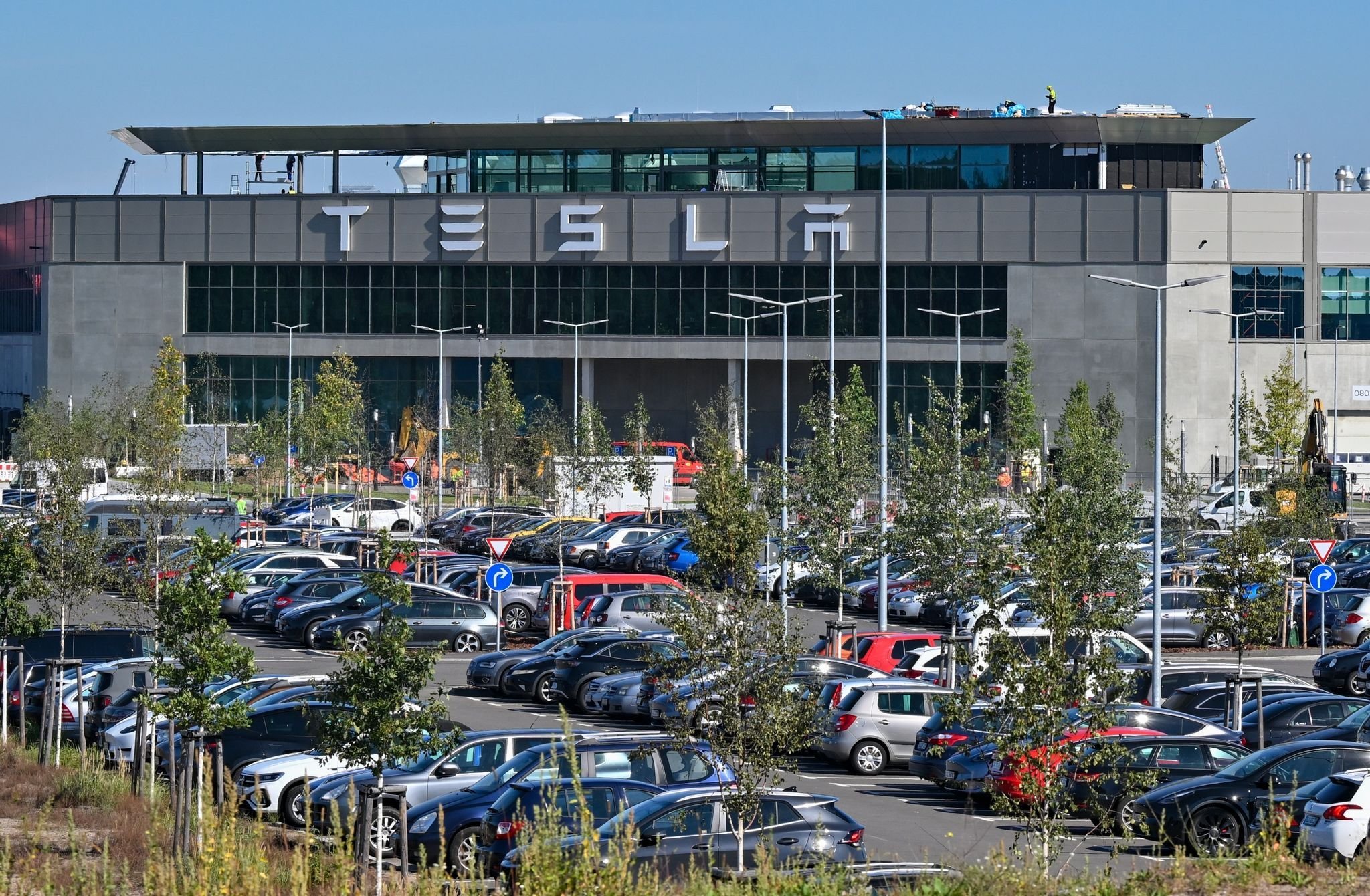 Erste Bäume für neuen Bahnhof am Tesla-Werk gefällt