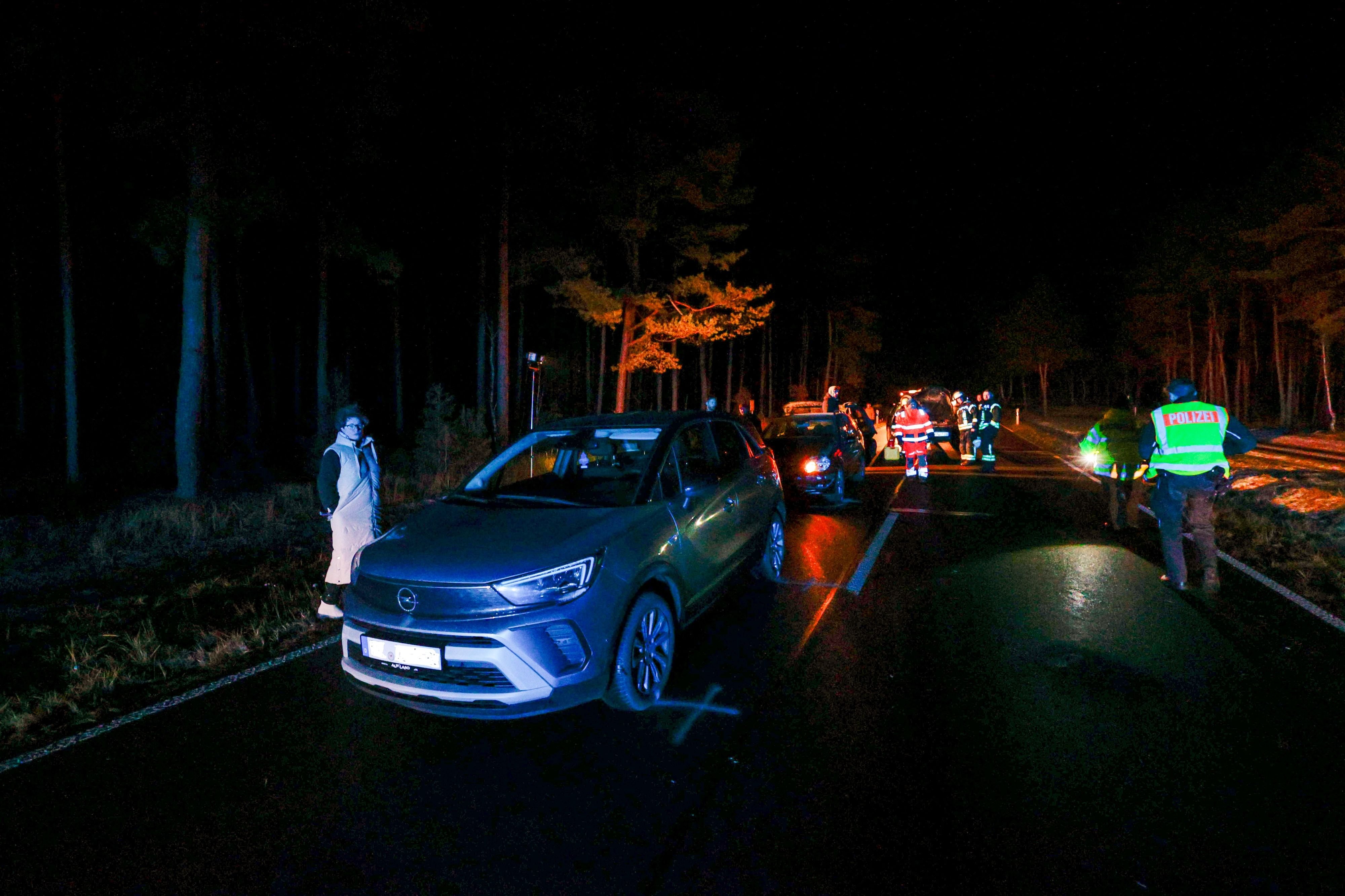 Unfall mit Reh - Auto fing Feuer