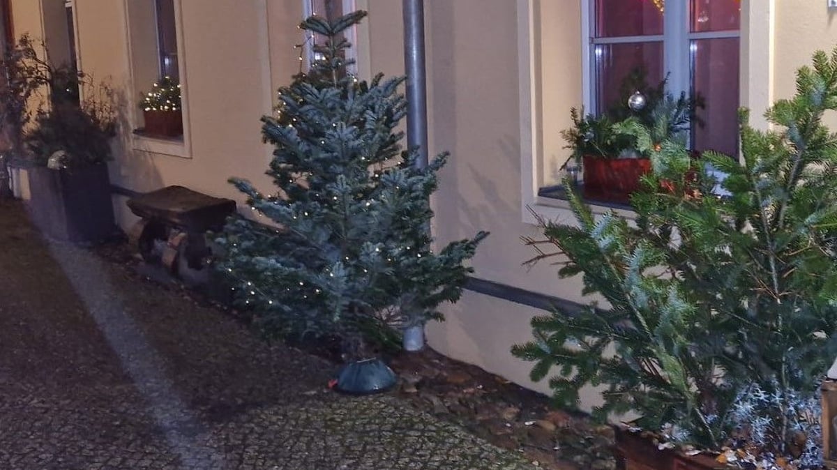 Diebe lassen drei Lichterketten mitgehen