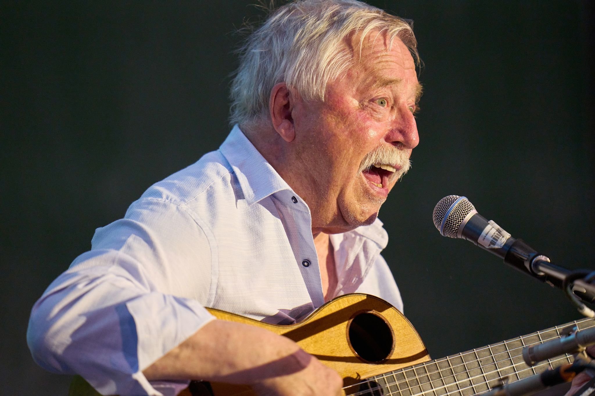 Biermann veröffentlicht Album mit Cover-Versionen