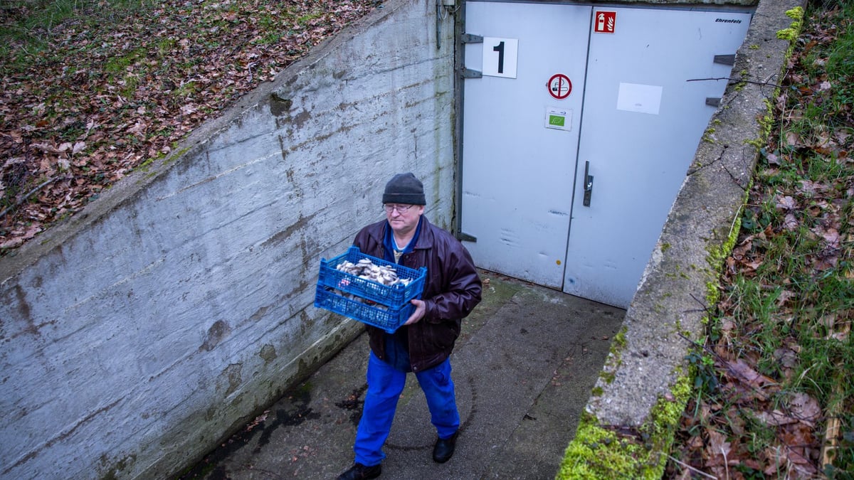 Rostock: Dieser DDR-Bunker wird immer noch verwendet