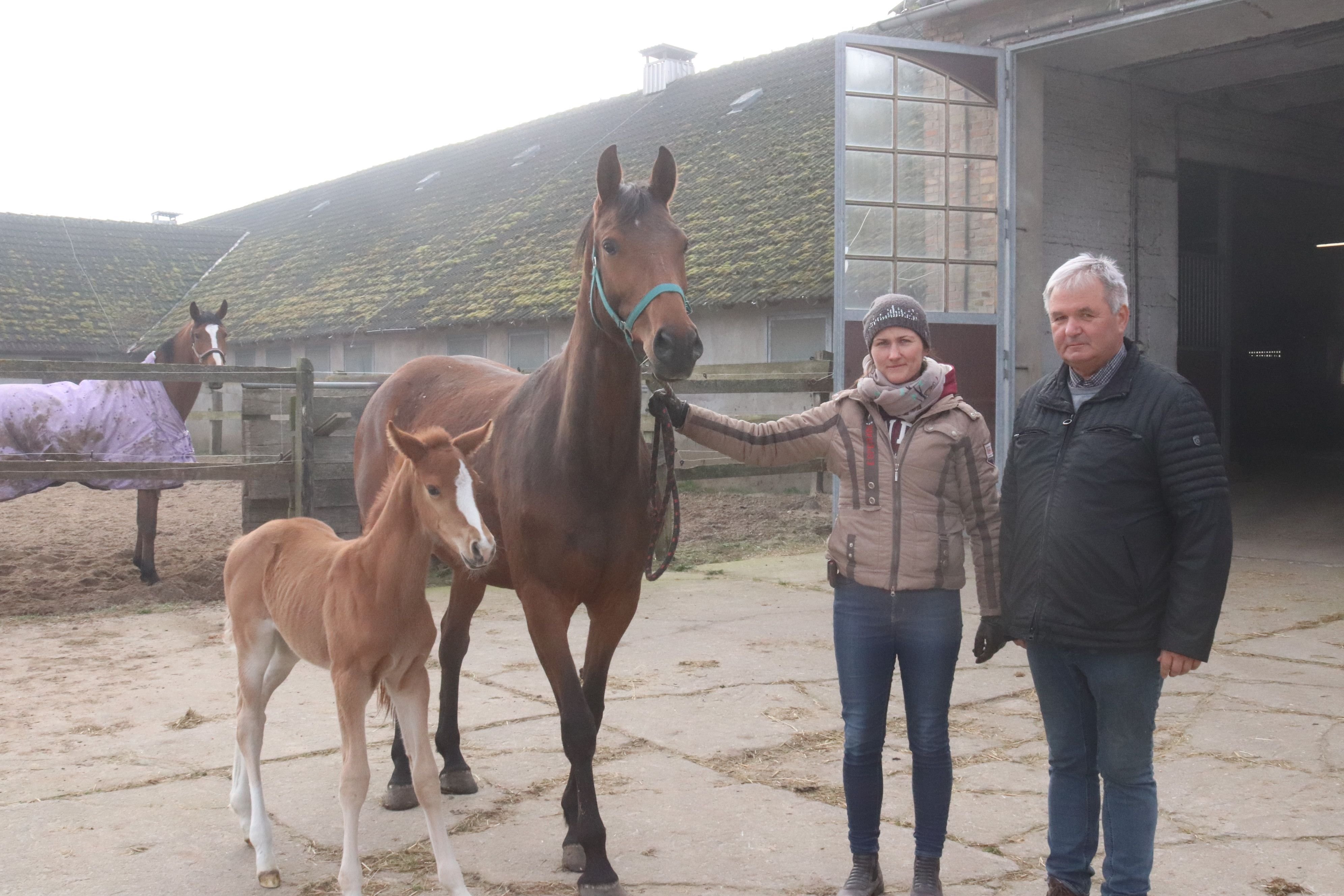 Die Reiter stehen in den Startlöchern