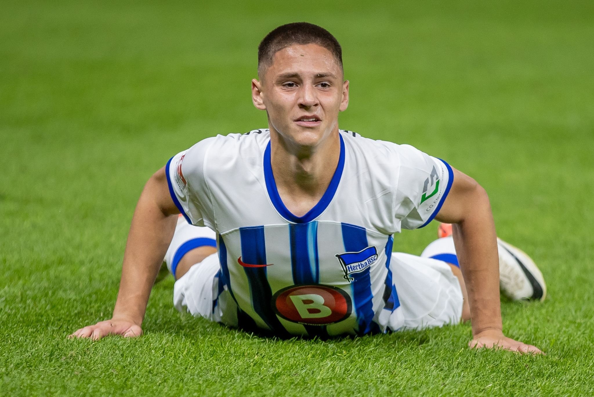 Hertha bestätigt: Bence Dardai wechselt zum VfL Wolfsburg