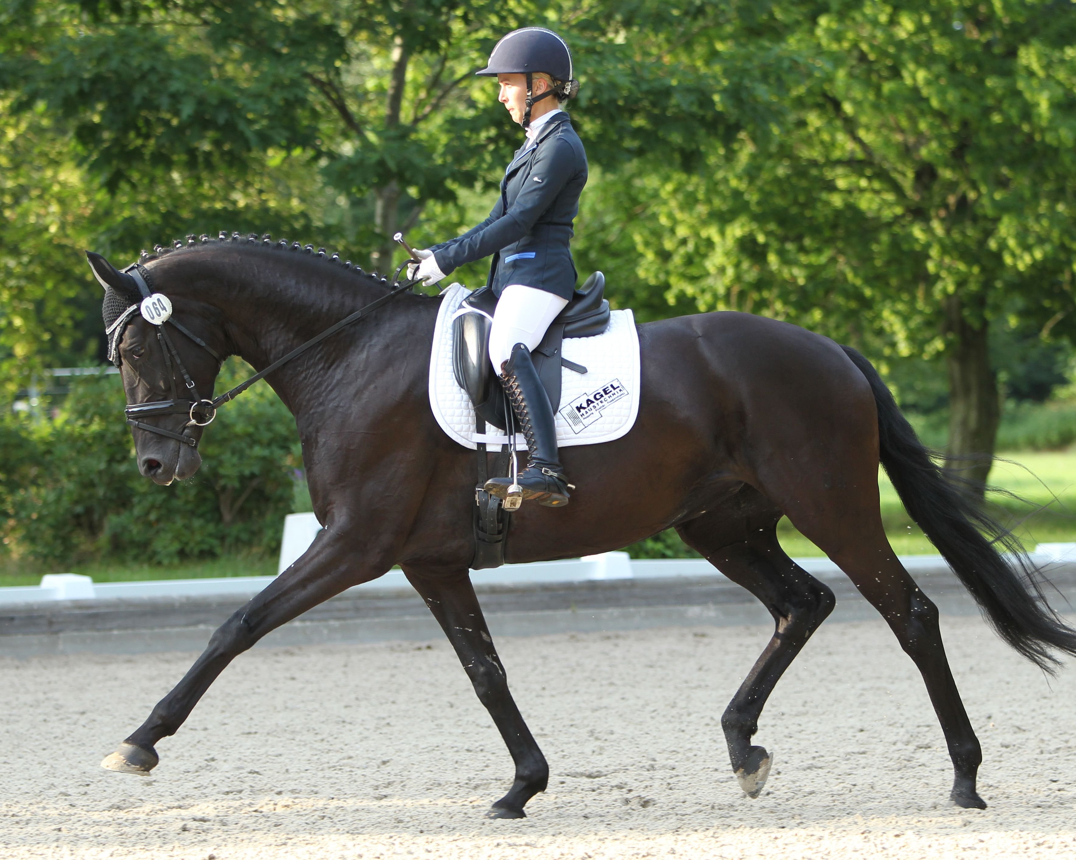 Reitturnier in Eldena: Marie Kirchner gewinnt M-Dressur