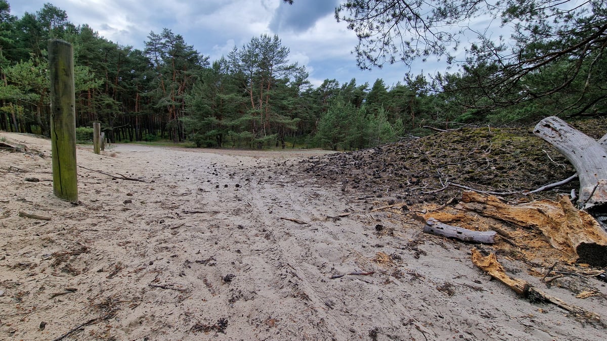 Stixe und Laave sind Teil des Langen Tags der StadtNatur