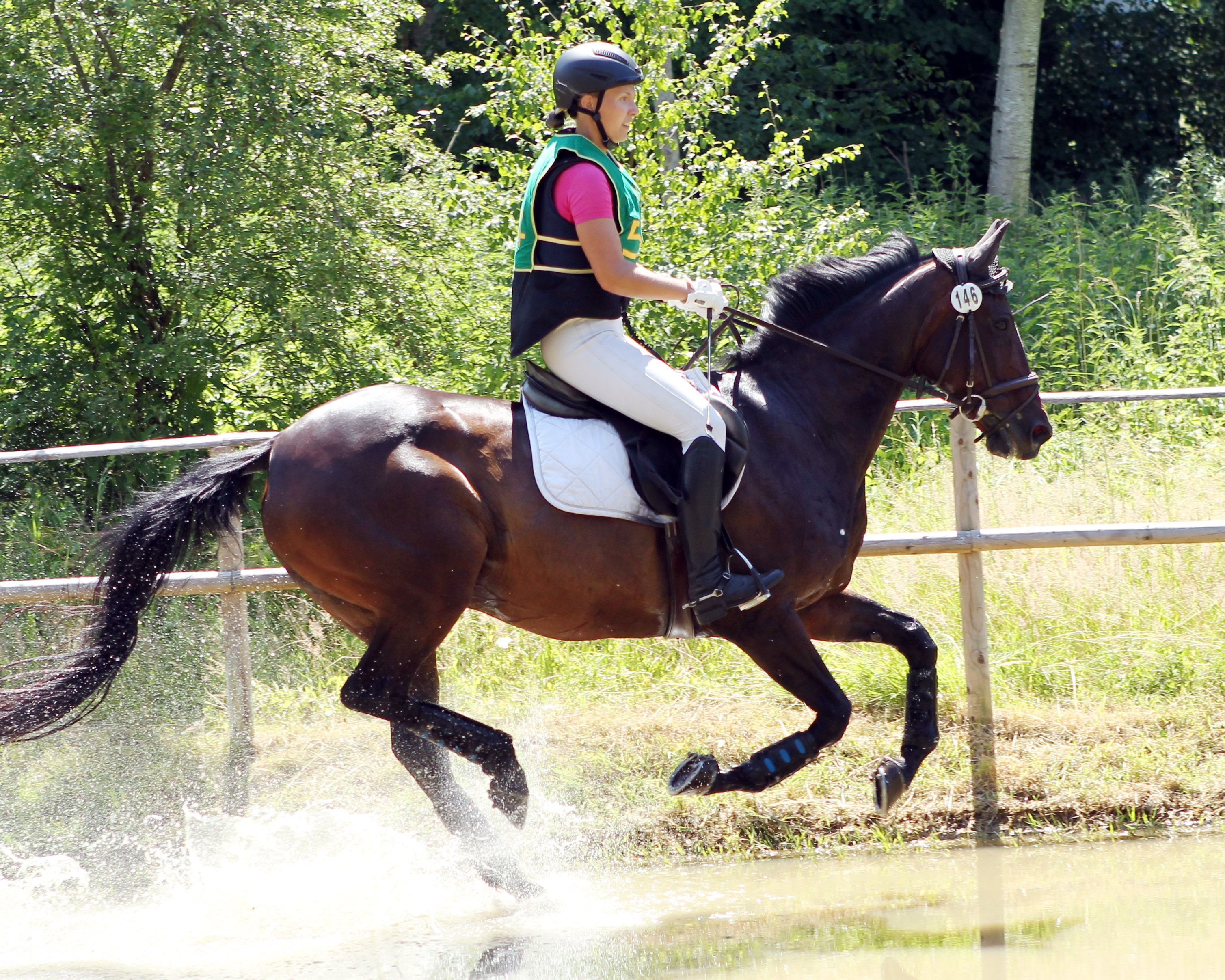Vielseitigkeitsturnier in Hohen Luckow zieht viele Reiter an
