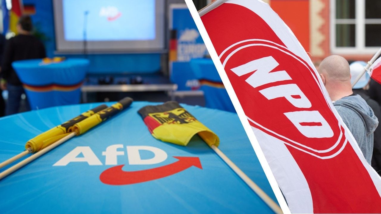 AfD gründet in Brandenburg erste Fraktionen mit früherer NPD