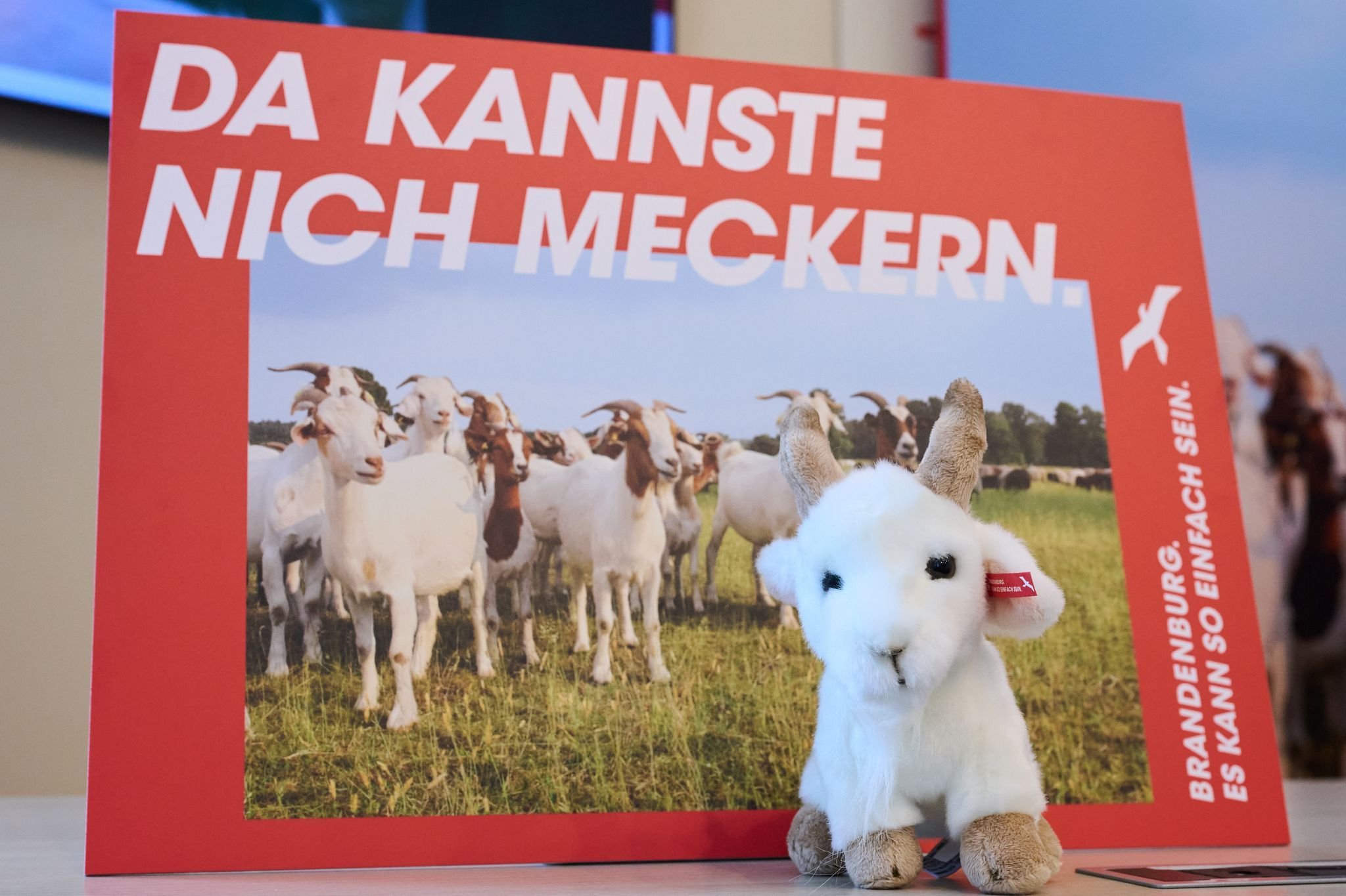 Brandenburg wirbt mit dem Spruch „Da kannste nich meckern“