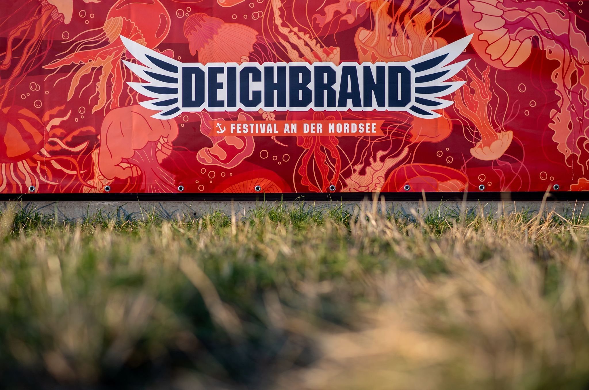 Deichbrand-Festival auch von weltweiter IT-Panne betroffen