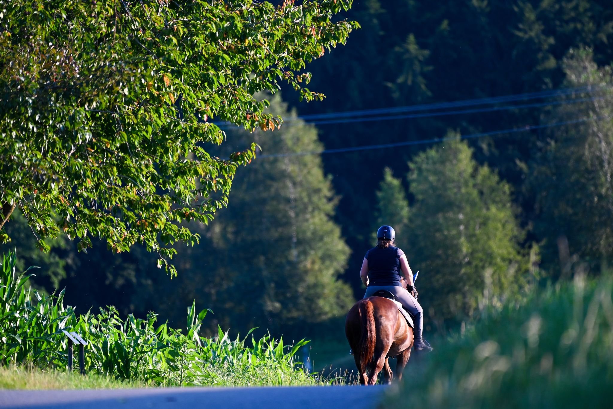 Nach Reitunfall auf Rügen: Familie von Spende überwältigt
