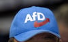 AfD-Fans bestellen Sneaker in Parteifarben - Nike reagiert