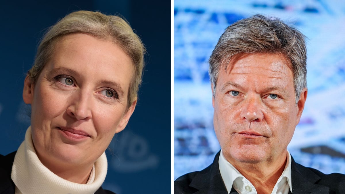 Alice Weidel macht sich über "Roland Habeck" lustig