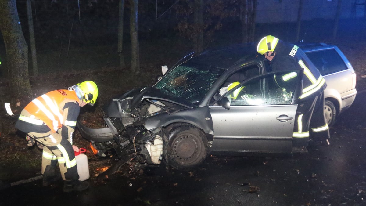 Vier junge Männer krachen mit Auto gegen Baum