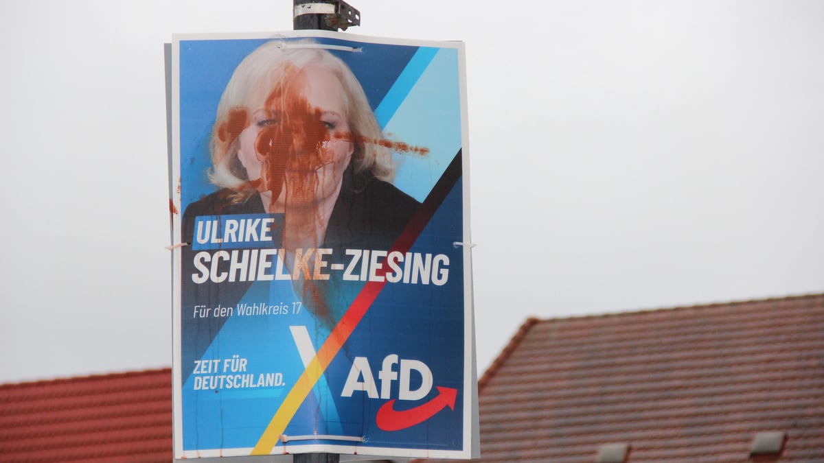 Plakat-Diebe AfD
