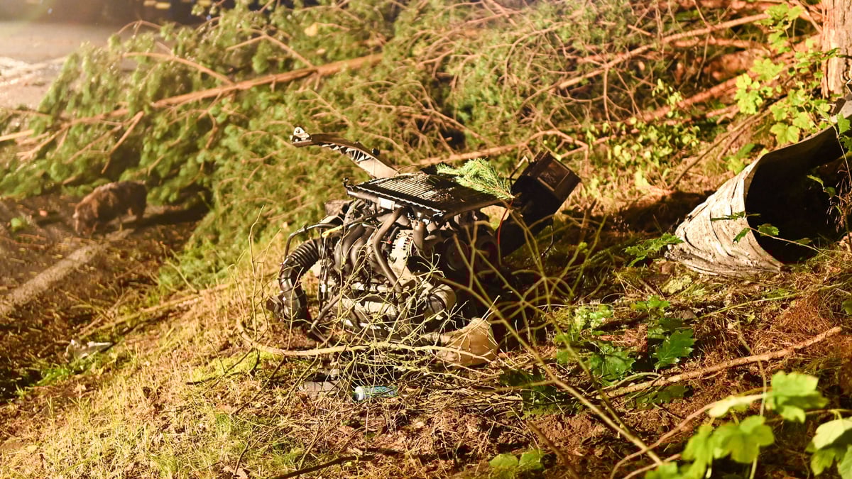 21-Jähriger rast auf Rügen mit Auto gegen Baum