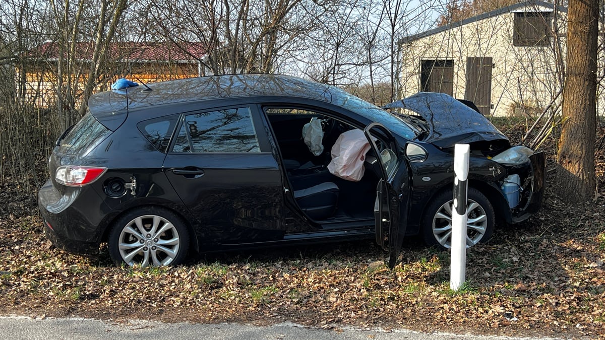 Mann weicht in Neubrandenburg Reh aus und prallt gegen Baum