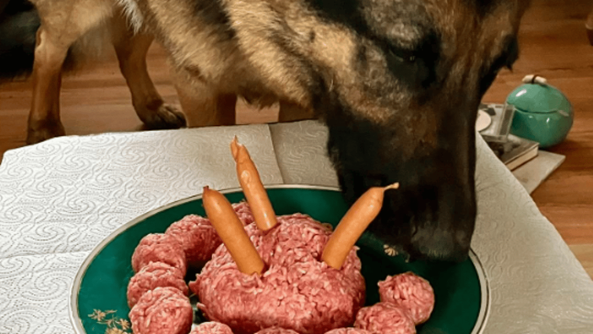 Frieda bekommt zum Geburtstag eine fette Mett-Torte