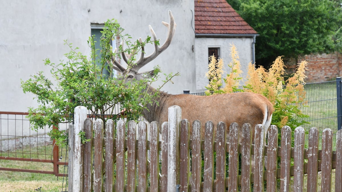 Laura gemser facebook this provider Dani seemed lovely yet