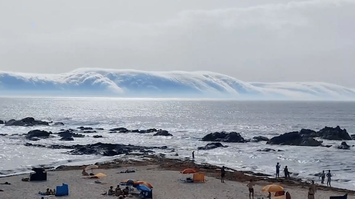 Bokep peachykai she seemed quite experienced also,