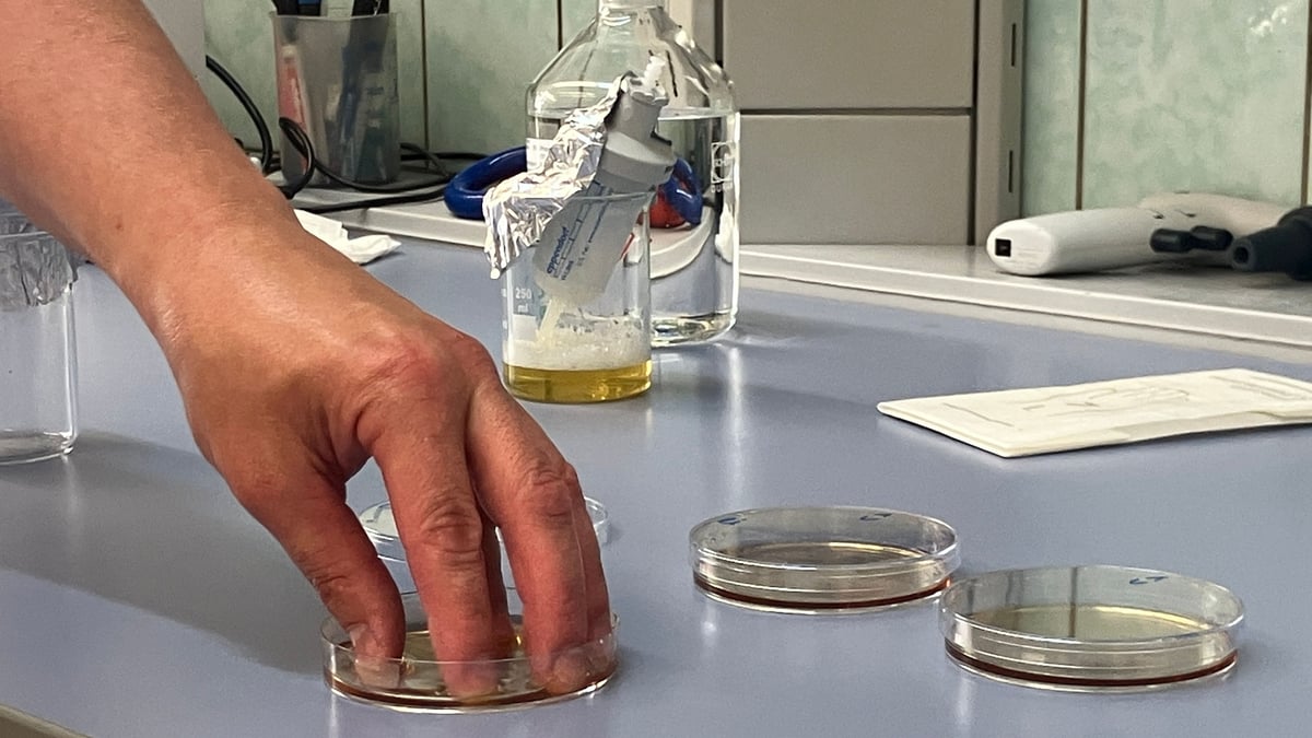 Kunden aus aller Welt: Firma Hygcen testet Desinfektionsmittel und ...