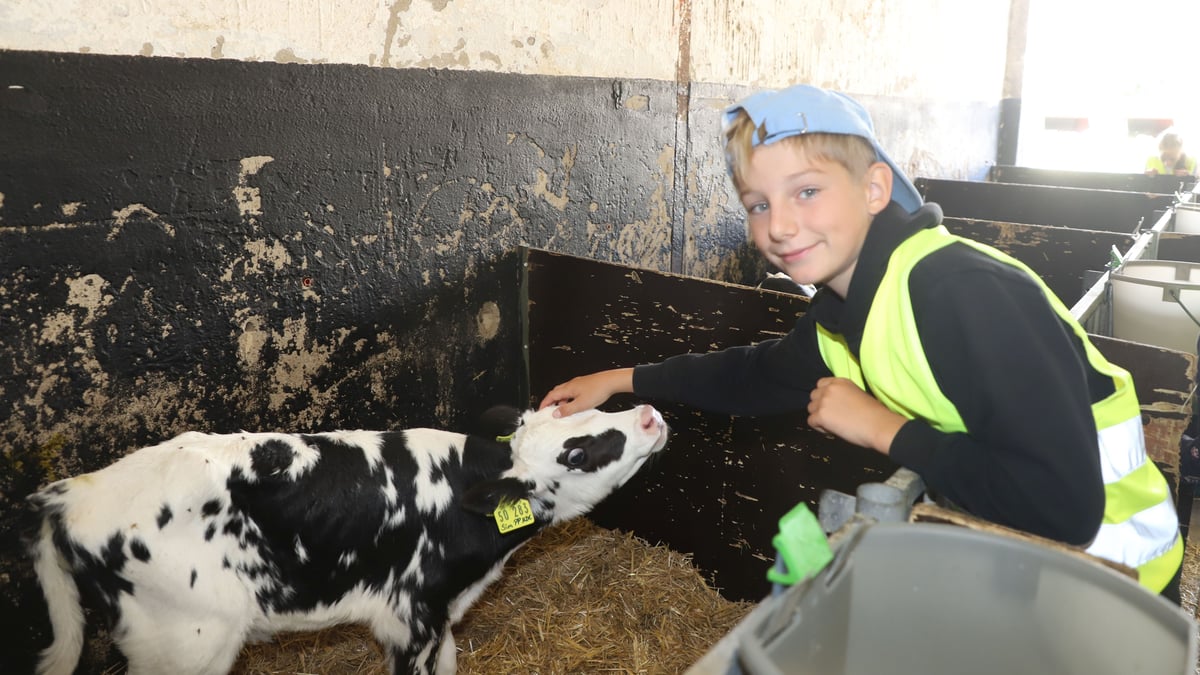 @harmony.ether xxx no longer blond - remains refined and