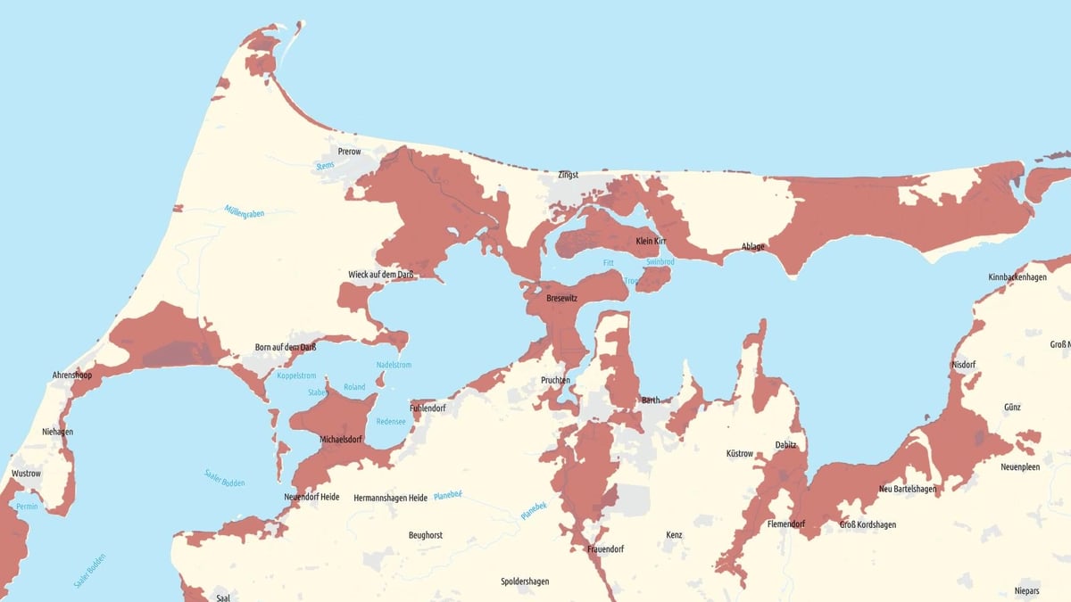 Bella aritzimuno leaked concern about customer service.