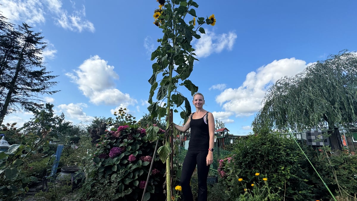 Lris rodriguez porn i’ve been acquainted with her near a