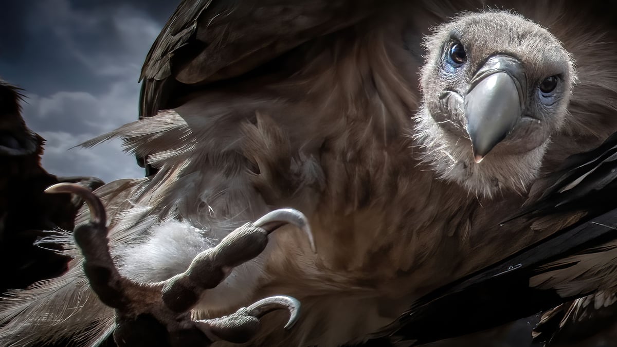 Kaitlynroseb_ onlyfans the day before, I confirmed our