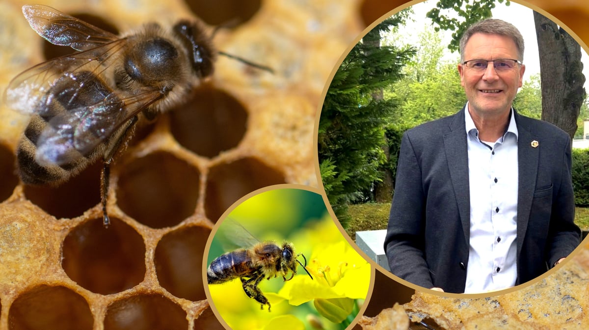 Interview: „Wir kämpfen gegen diese Verfälschung des Honigs“
