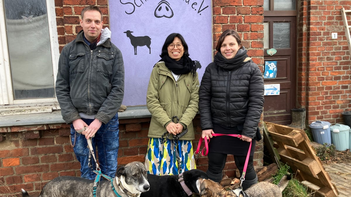 Mit zwei Koffern, einem Kater und einem Traum: Japanerin zieht in die ...